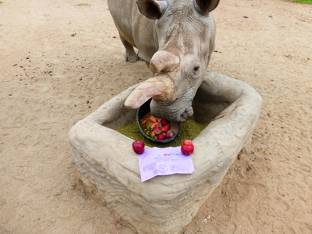 “Ugly” Animals Need Love Too – San Diego Zoo Wildlife Alliance Stories