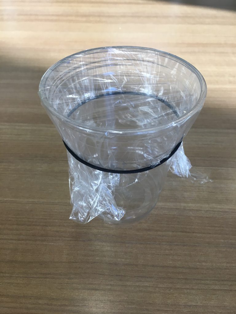 Microscopic Fun! – San Diego Zoo Wildlife Alliance Stories