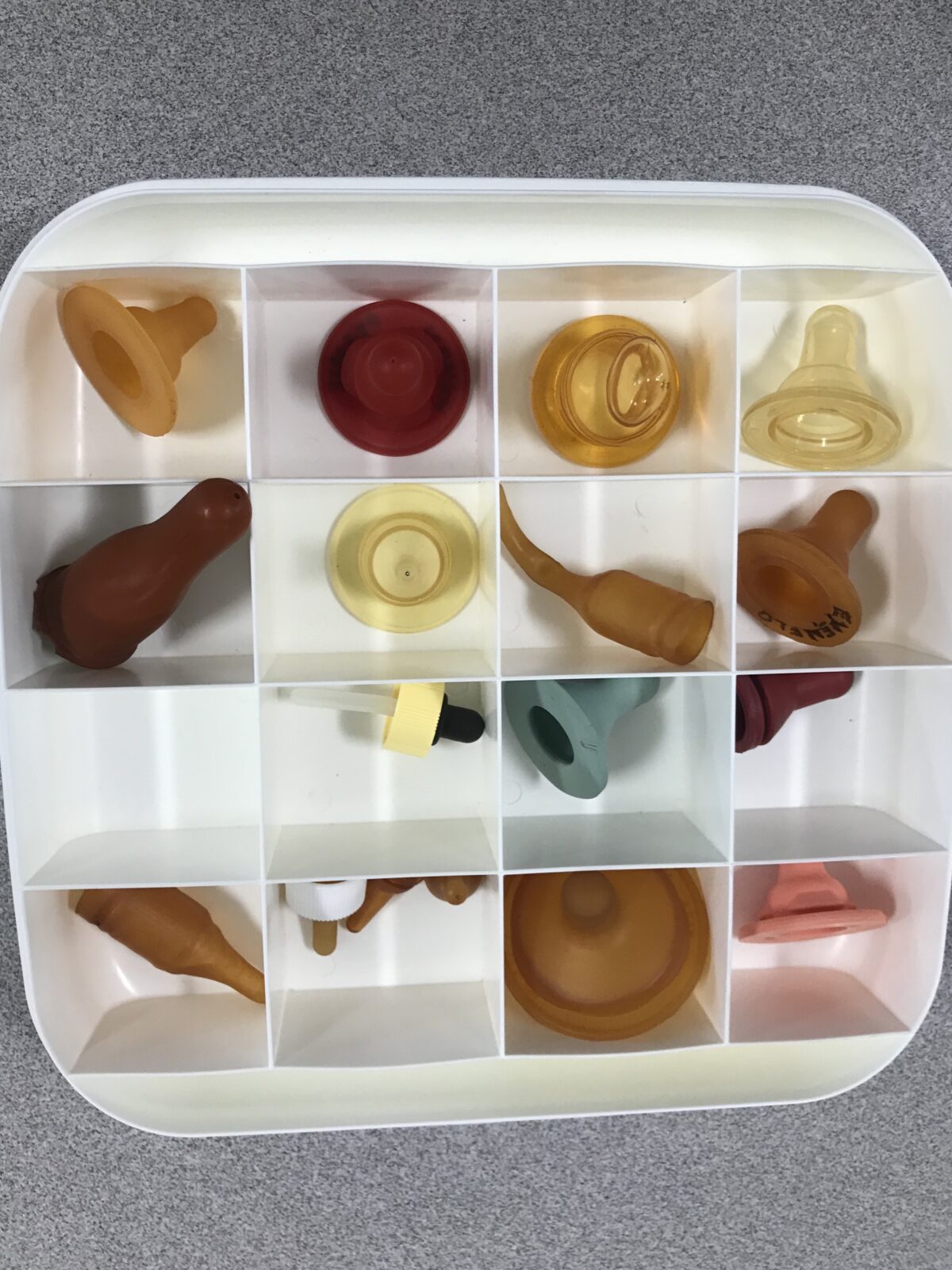 The Formula for Success – San Diego Zoo Wildlife Alliance Stories