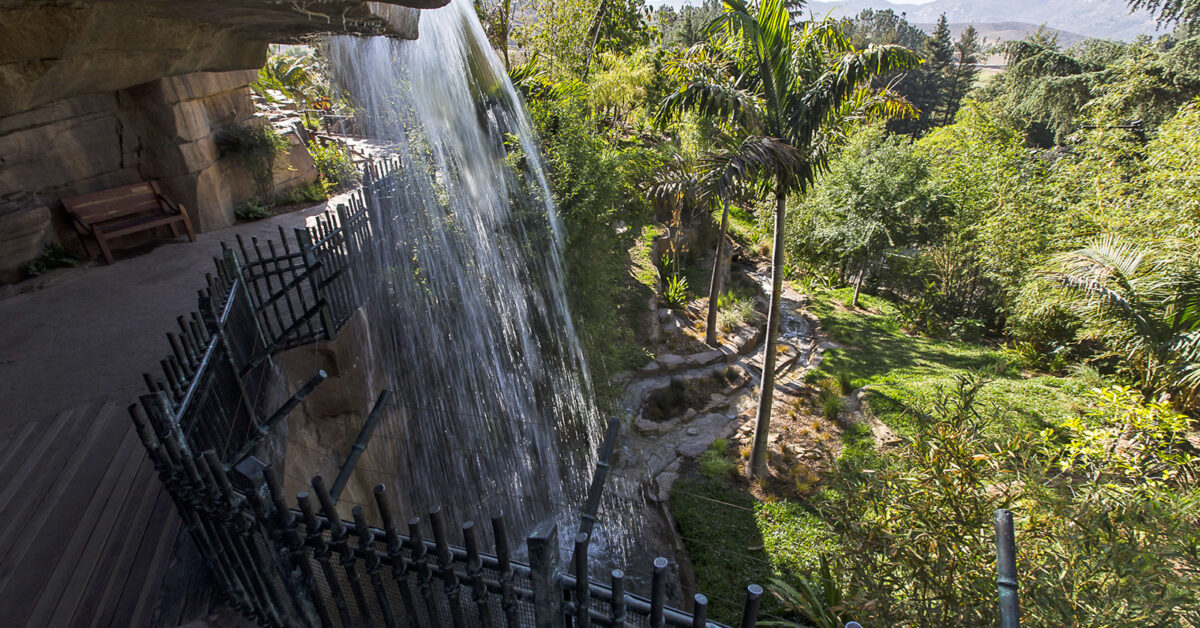 San Diego Zoo Global Landscape Designs Featured in New U.S… – San Diego ...