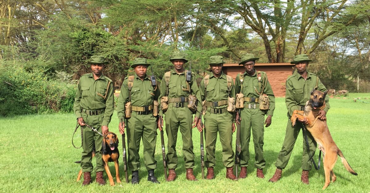 Working Dogs in Kenya Conservation – San Diego Zoo Wildlife Alliance ...