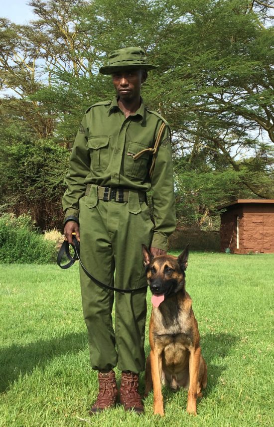 Working Dogs in Kenya Conservation – San Diego Zoo Wildlife Alliance ...