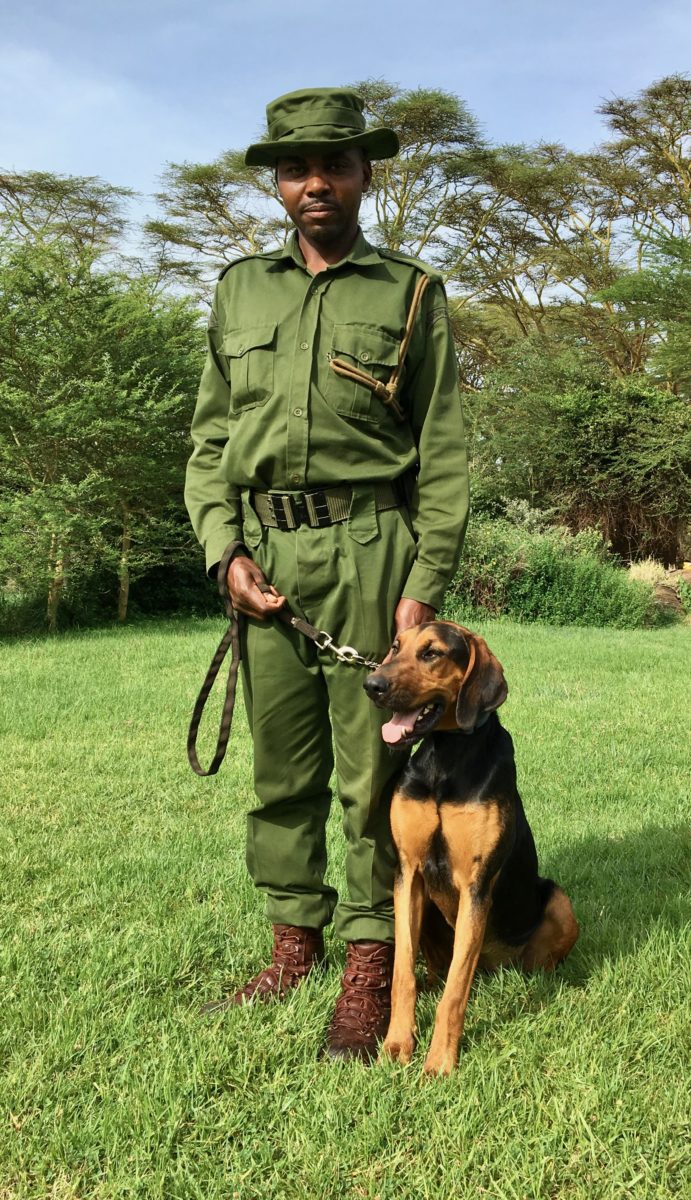 Working Dogs in Kenya Conservation – San Diego Zoo Wildlife Alliance ...