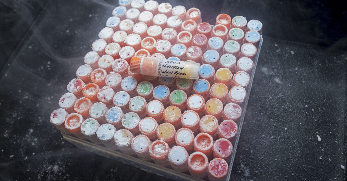 A Network of Biobanking for Conservation – San Diego Zoo Wildlife ...