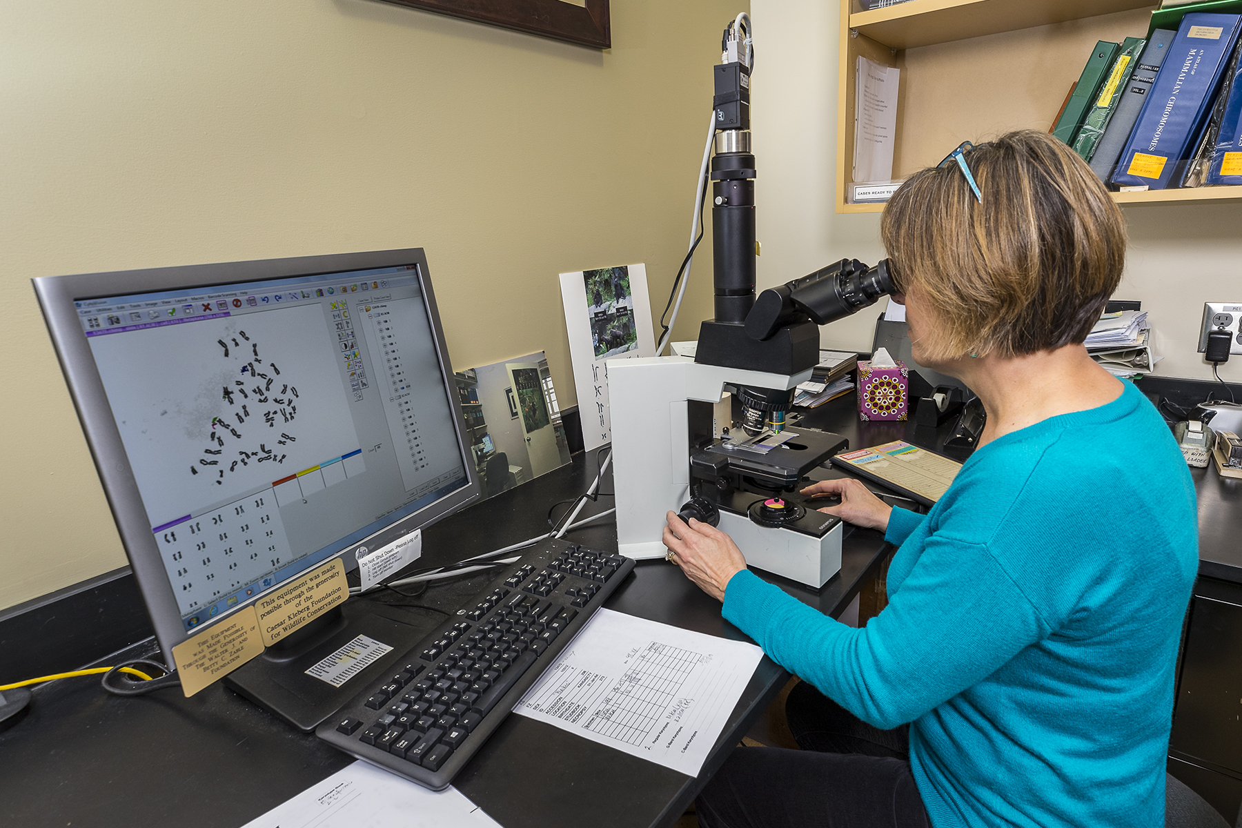 A Network of Biobanking for Conservation – San Diego Zoo Wildlife ...